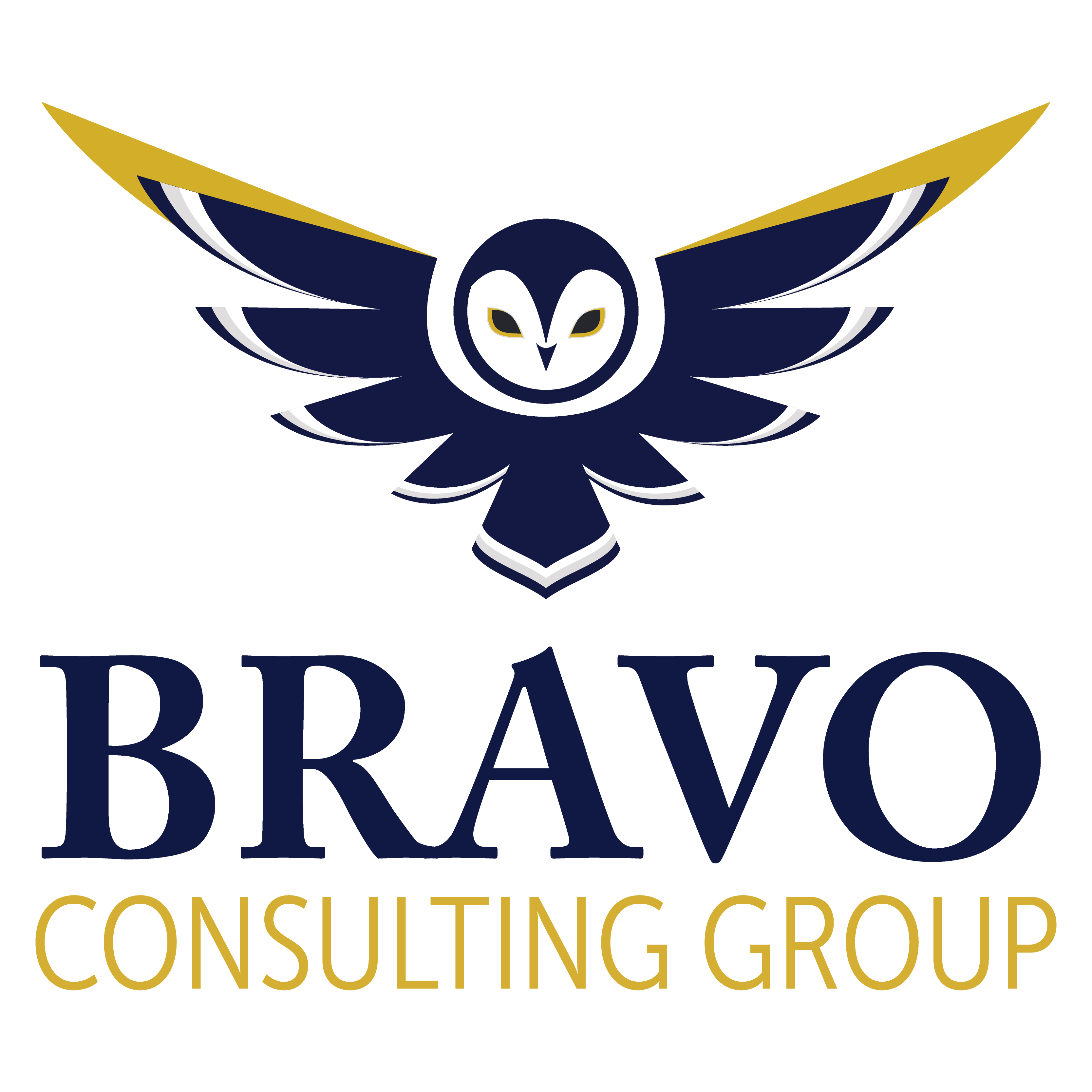 Tutorial: Power Apps Flyout Menu - Bravo Consulting Group Tutorial: Power Apps Flyout Menu - Bravo Consulting Group