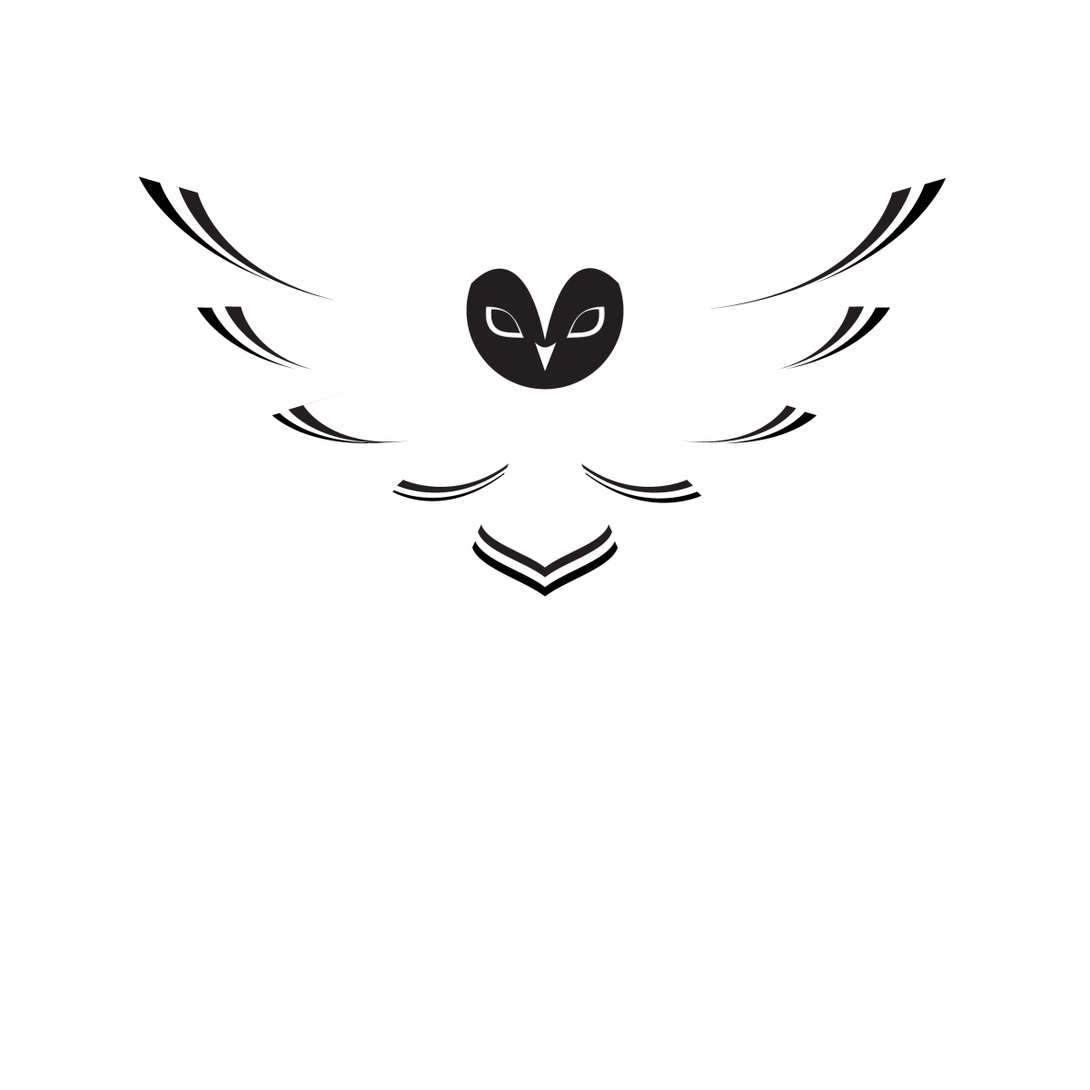 About Bravo | Empowering Success with Microsoft